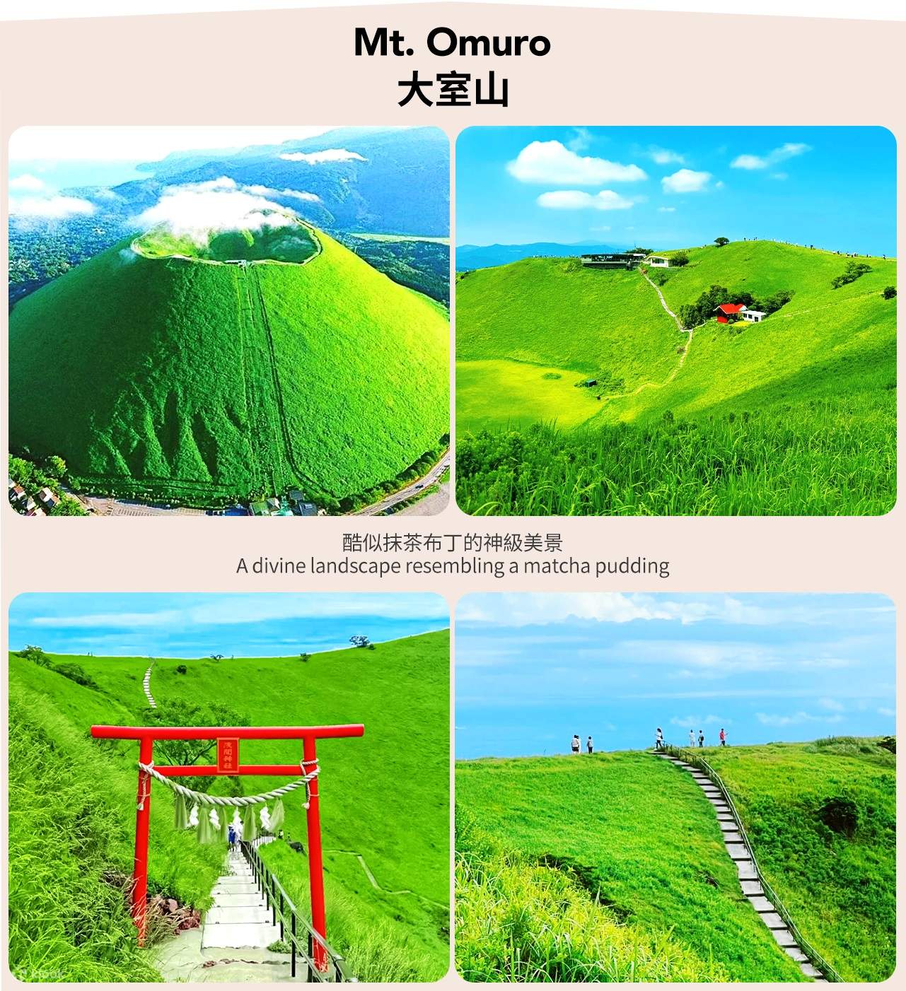 [One-day tour of Izu's stunning scenery] Atami Sunshine Coast Road ...